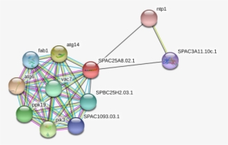 Ftsz Protein - Circle - Free Transparent PNG Download - PNGkey
