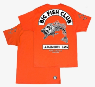 Bass Fish PNG, Transparent Bass Fish PNG Image Free Download - PNGkey