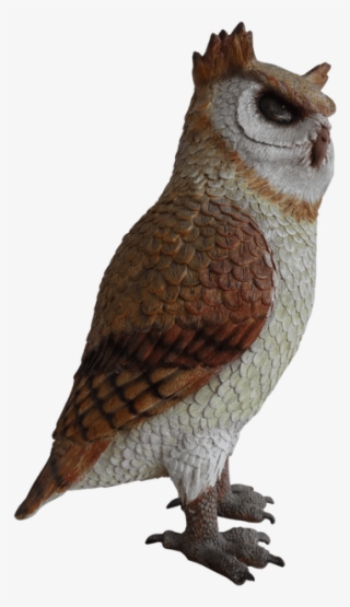 Bird Owl Animal Prop Life Size Resin Statue - Free Transparent PNG ...