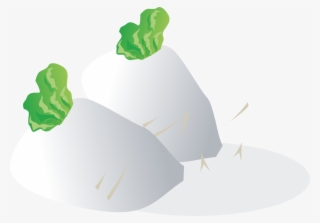 White Radish Png - Mula Vegetables - Free Transparent PNG Download - PNGkey
