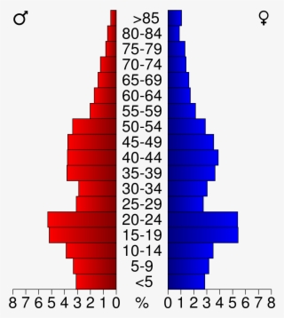 Fichier - Pyramide Israel - Png - Israel Population Pyramid 2016 - Free ...