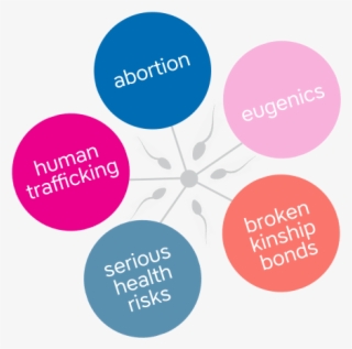 Family First Comment - Diagram - Free Transparent PNG Download - PNGkey