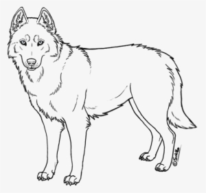 Transparent Base Husky - Outline Of A Husky - Free Transparent PNG ...