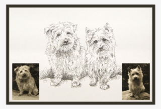 Original Drawing Two Dogs - Drawing - Free Transparent PNG Download ...