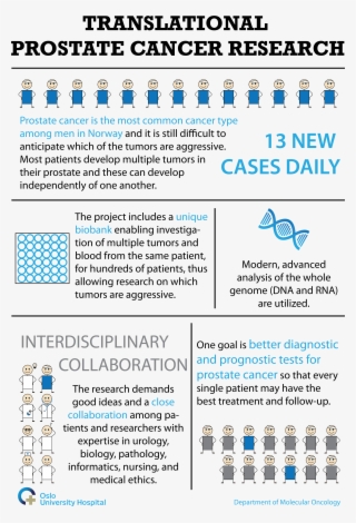 Prostate PNG, Transparent Prostate PNG Image Free Download - PNGkey