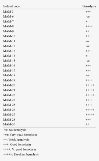 Bacillus PNG, Transparent Bacillus PNG Image Free Download - PNGkey