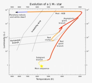 Sun-like Stars Have A Degenerate Core On The Red Giant - Asymptotic ...