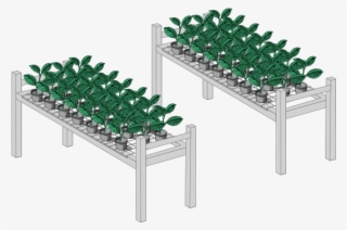 Cultivation Cannabis Grow Tables - Cannabis - Free Transparent PNG ...