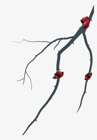 Alpha - Twig - Free Transparent PNG Download - PNGkey