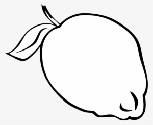 Fruit Outline Clip Art At Clker Com Vector Clip Art - Fruit Outlines ...