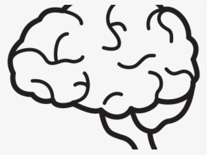 Clipart - Brain No Background - Free Transparent PNG Download - PNGkey