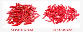 S4/334 Dry Red Chilli - Export - Free Transparent PNG Download - PNGkey