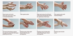 Correct Hand Wash Uk - Hygiene Hand Wash - Free Transparent PNG ...