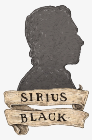 Sirius - Sirius Computer Solutions - Free Transparent PNG Download - PNGkey
