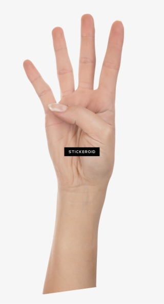 Finger Touch Fingers - Photography - Free Transparent PNG Download - PNGkey