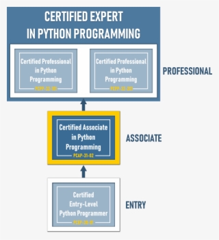 Becoming Pcap Certified Ensures That The Individual - Free Transparent ...