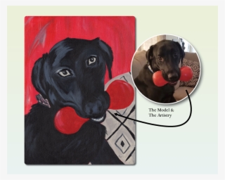 Labrador Retriever - Black Lab Transparent Background - Free ...