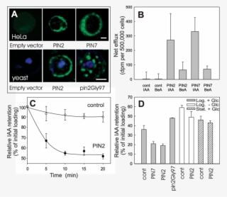 Pin2 - Diagram - Free Transparent PNG Download - PNGkey