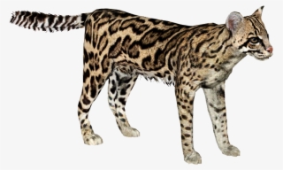 Major Ocelot - Revolver Ocelot - Free Transparent PNG Download - PNGkey