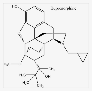 Suboxone Is A Combination Of Buprenorphine And Naloxone - Diagram ...
