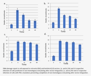 Dna Damage Repair Assay - Diagram - Free Transparent PNG Download - PNGkey