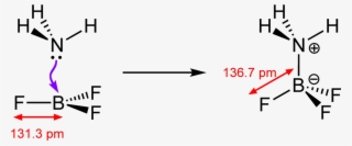 Nh3 Bf3 Adduct Bond Lengthening 2d - Coordinate Covalent Bond Symbol ...