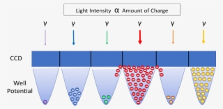 Saturation And Vuv - Diagram - Free Transparent PNG Download - PNGkey