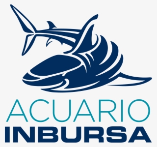 Image Result For Clima Web Logo - Acuario Inbursa - Free Transparent ...