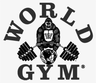 Gym PNG, Transparent Gym PNG Image Free Download , Page 5 - PNGkey