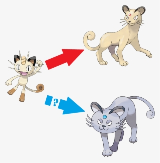 327kib, 1000x1000, Meowth - Free Transparent PNG Download - PNGkey
