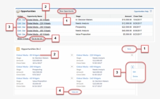 Related Lists In Salesforce Classic And Lightning Experience - Free ...