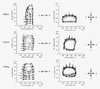 Computed Models Of Chest-wall Configuration For All - Free Transparent ...