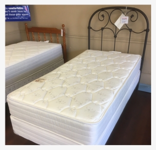 Eclipse Health Sense - Free Transparent PNG Download - PNGkey