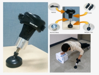 Push Up Supporter Helps Physically Disabled Person - Free Transparent ...