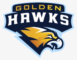 Golden Hawks Png - Free Transparent PNG Download - PNGkey