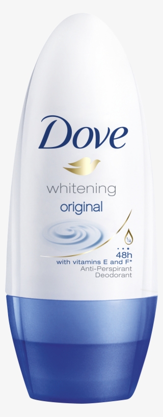 Dove Transparent Background PNG, Transparent Dove Transparent ...