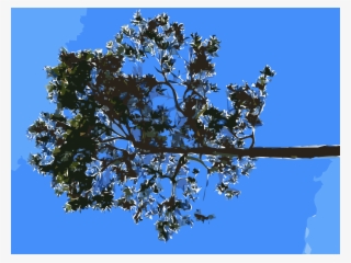 This Free Icons Png Design Of Hong Kong Repulse Bay - Free Transparent ...