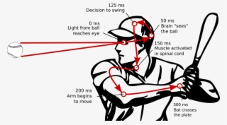Baseball Flying Through The Air Png - Free Transparent PNG Download ...