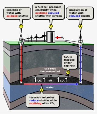 As Shown By The Well-known Problem Of Reservoir Souring, - Free ...
