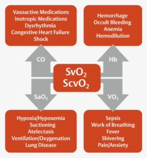 Clinical Uses Of Svo2 And Scv02 Monitoring - Scv02 Sv02 - Free ...