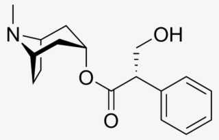 Diagram Representing The Molecular Structure Of Hyoscyamine - Free ...