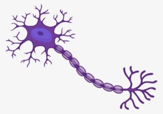 PNG, Transparent PNG Image Free Download , Page 2746 - PNGkey