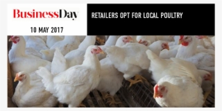 Retailers Opt For Local Poultry - Free Transparent PNG Download - PNGkey