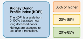 Kidneys That Have Higher Kdpi Scores Come From Deceased - Free ...