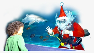 PNG, Transparent PNG Image Free Download , Page 15058 - PNGkey