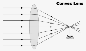 Look How The Angle At Which Light Rays Hit The Surfaces - Simple Convex ...