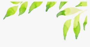 Header Green Leaves Right - Free Transparent PNG Download - PNGkey
