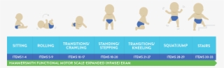 Hammersmith Functional Motor Scale - Free Transparent PNG Download - PNGkey