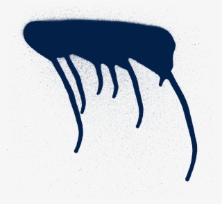 Young Turk, Seth Macfarlane Also Tweeted It - Free Transparent PNG ...