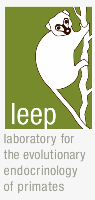 Web PNG, Transparent Web PNG Image Free Download , Page 39 - PNGkey